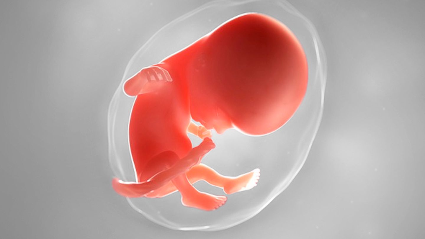 14. Schwangerschaftswoche (14. SSW): Alle Infos | Eltern.de