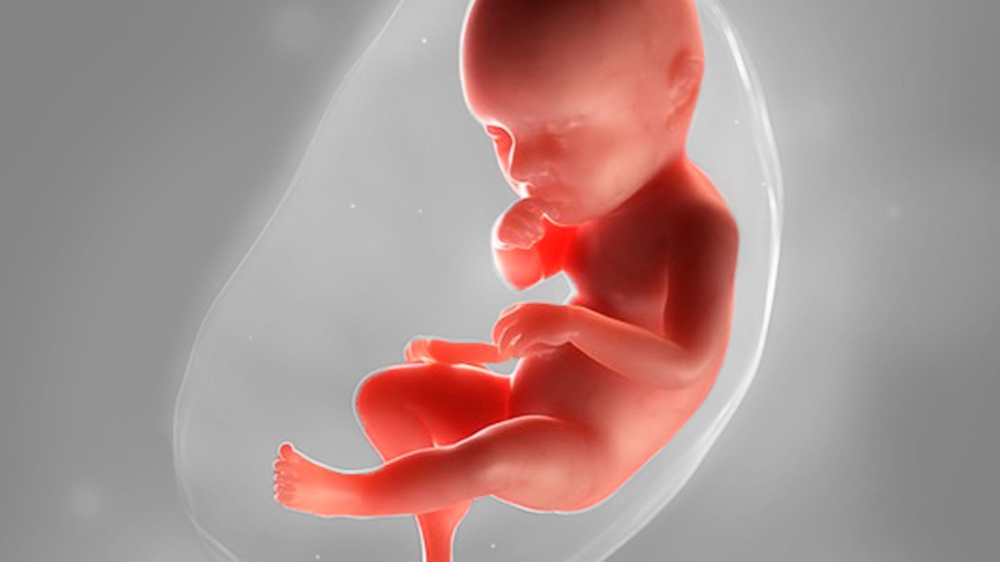 SSW 39: Alle Infos zur 39. Schwangerschaftswoche | Eltern.de