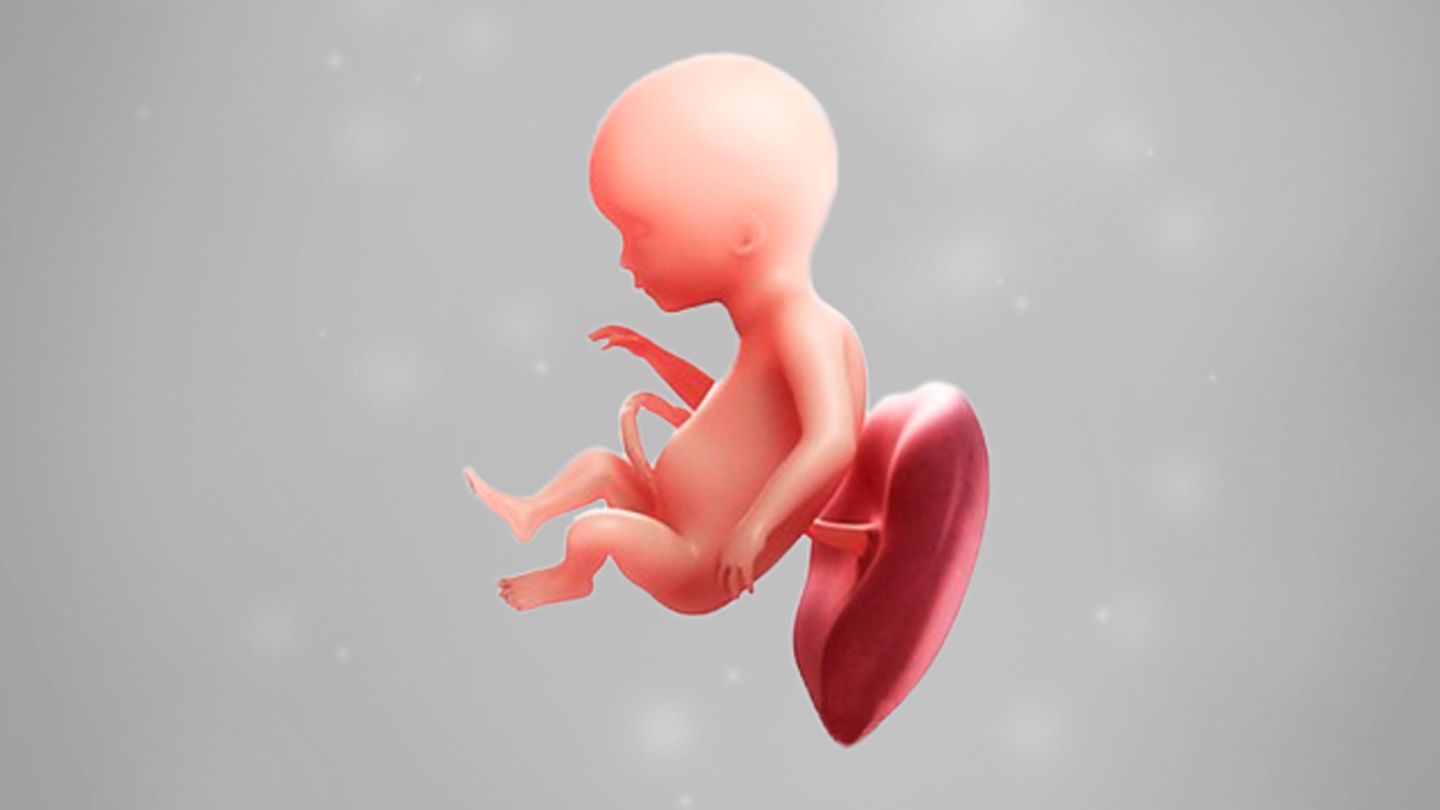 17. Schwangerschaftswoche (17. SSW): Alle Infos | Eltern.de