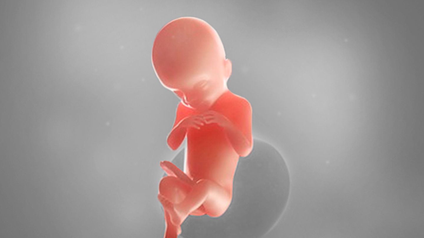 20. Schwangerschaftswoche (20. SSW): Alle Infos | Eltern.de