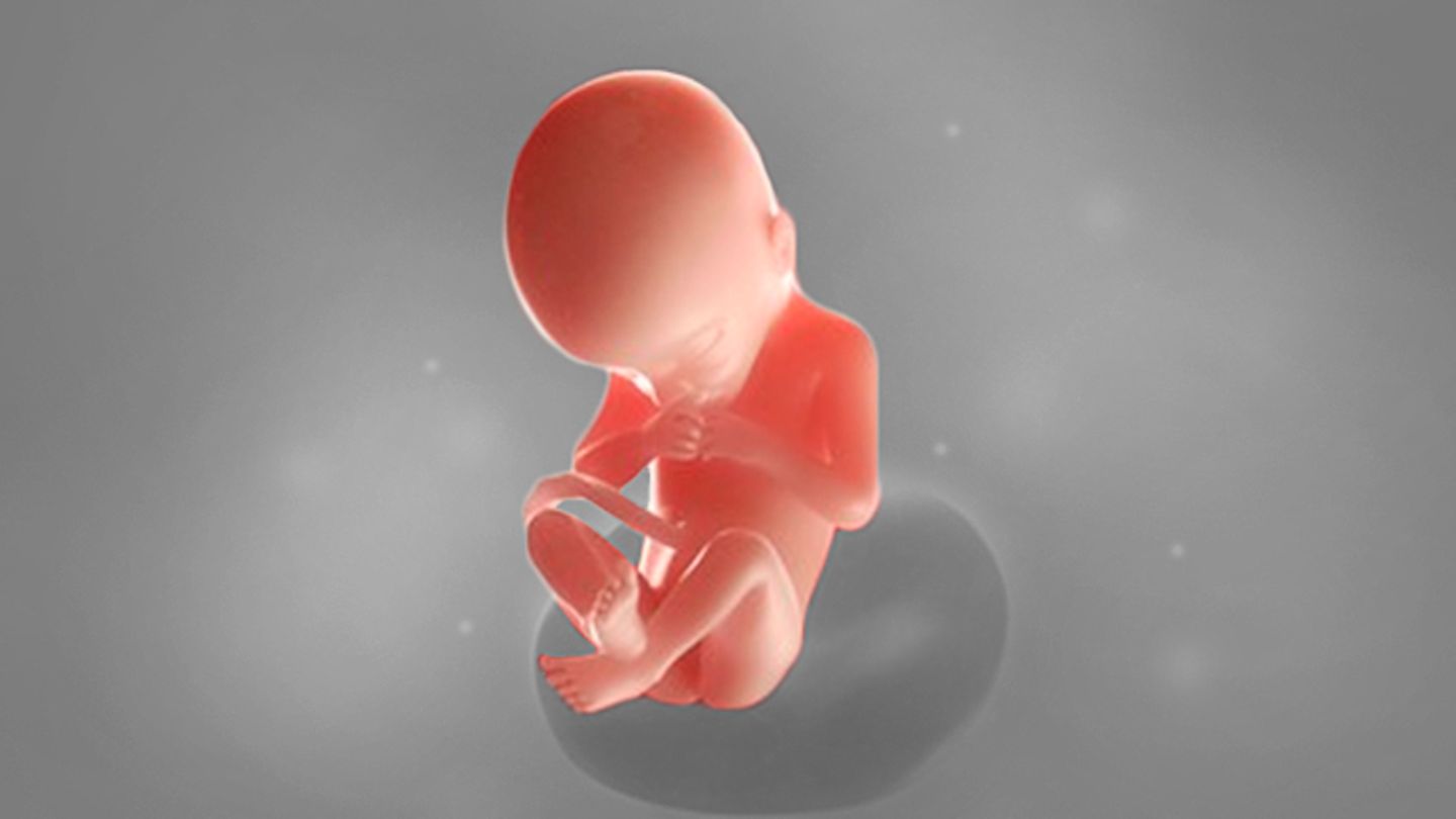 SSW 21: Alle Infos zur 21. Schwangerschaftswoche | Eltern.de