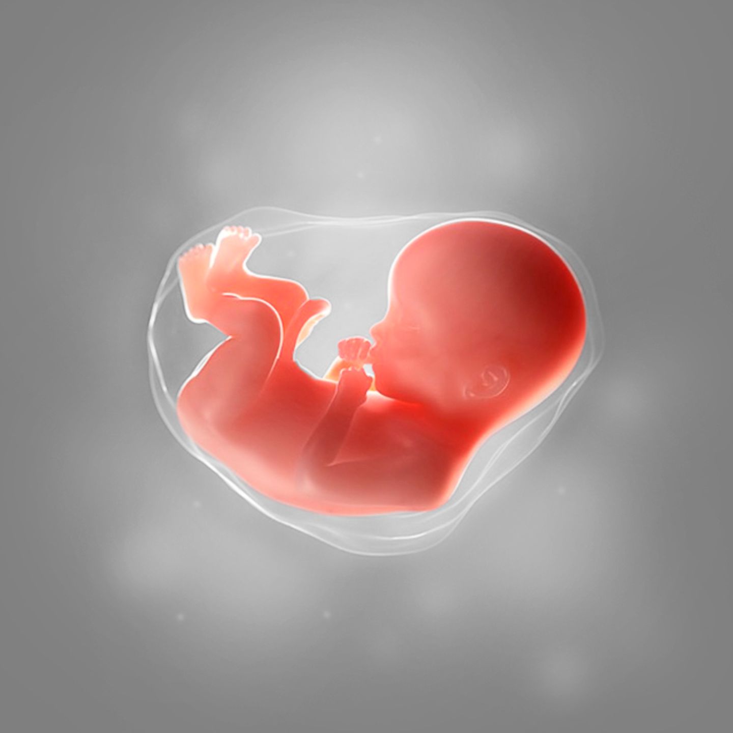 22. Schwangerschaftswoche (22. SSW): Alle Infos | Eltern.de