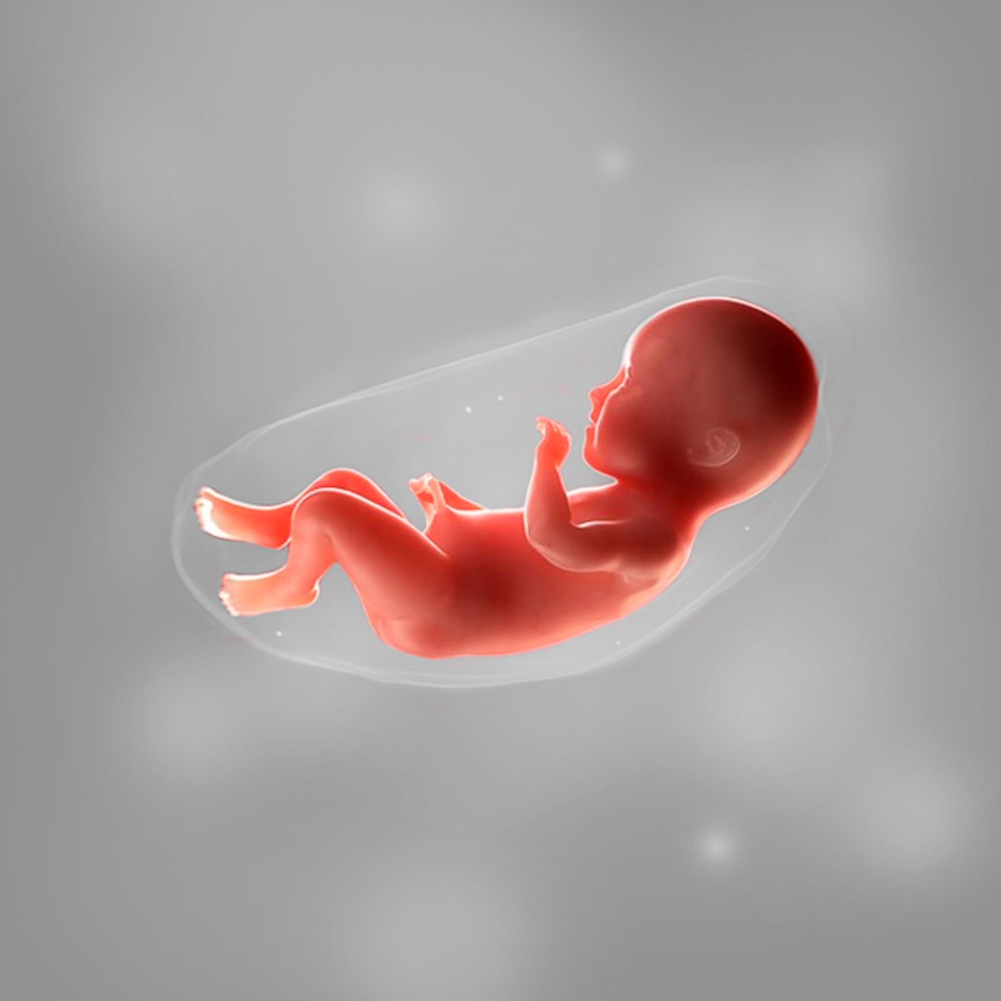 34. Schwangerschaftswoche (34. SSW): Alle Infos | Eltern.de