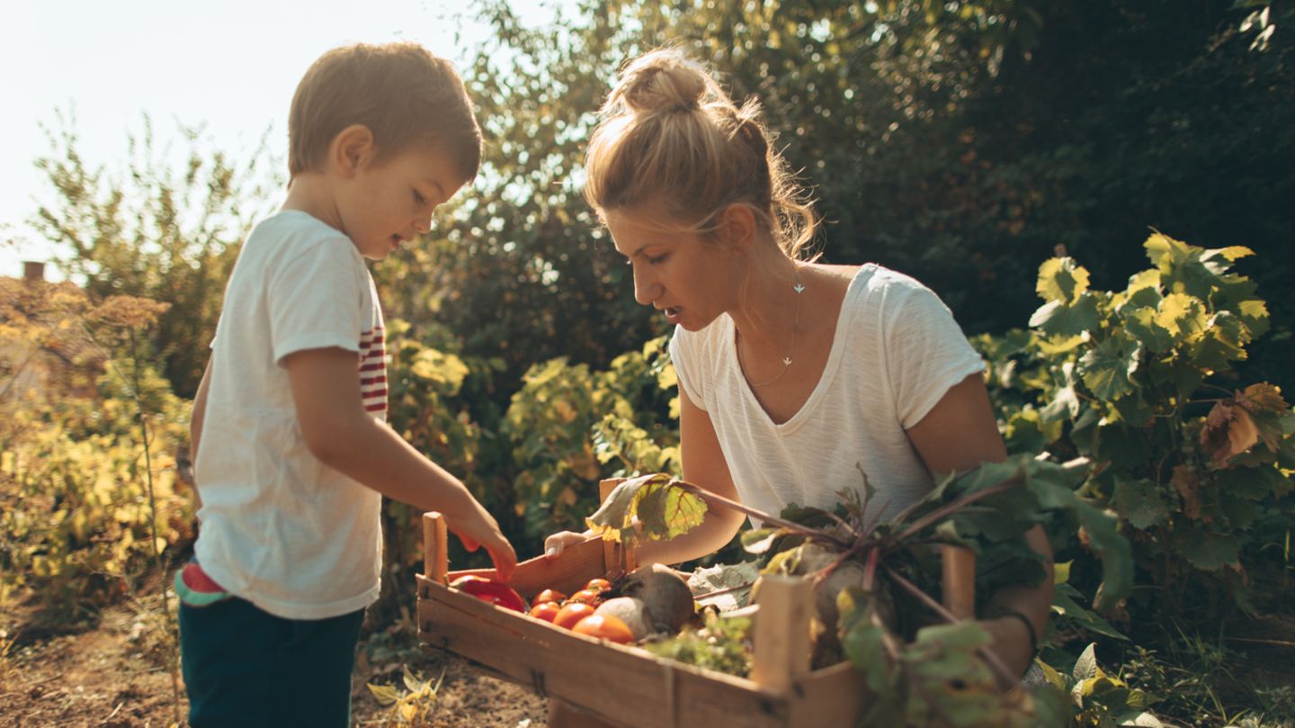 Richtig essen: Zehn Fragen zur Kinderernährung | Eltern.de