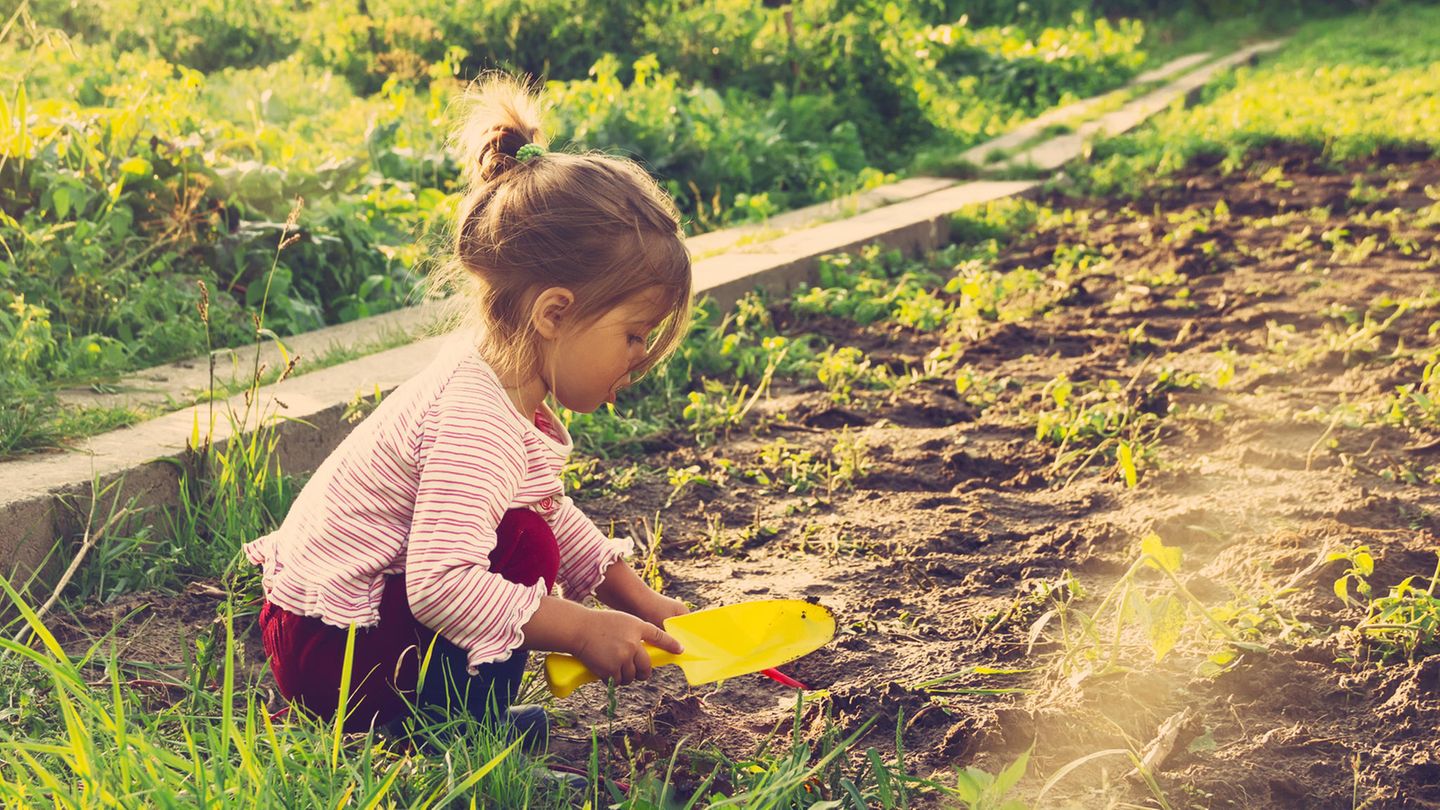 Wild-Child Interview: Kinder wollen echte Erlebnisse | Eltern.de